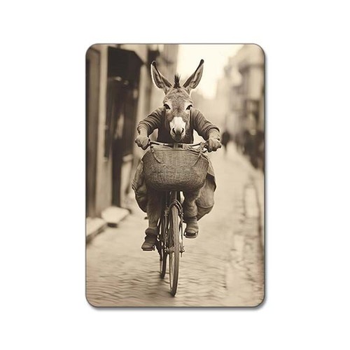 Donkey Riding Bike #1 - Cute Funny Animals - Magnet | eBay
