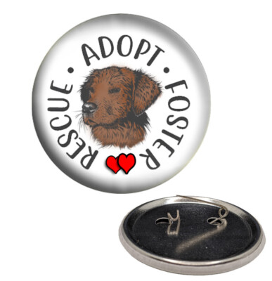 Rescue Adopt Foster Shelter Dogs 2 1/4" Pinback Button Pin Volunteers ...