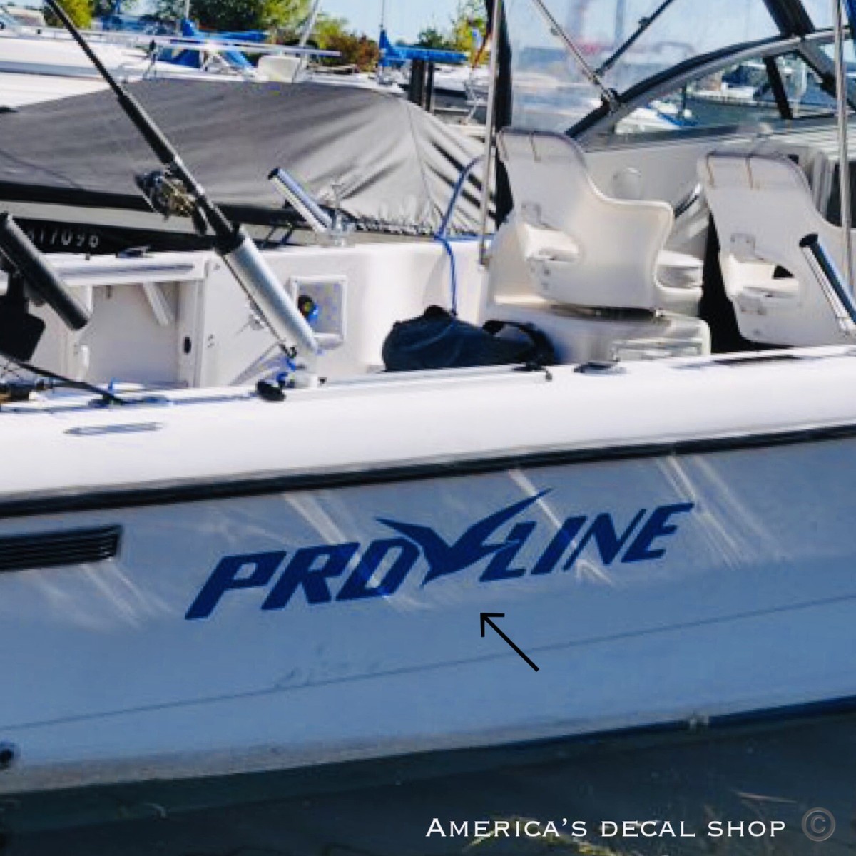Proline Boat Logo Proline Boats 20 Express, Door & Hatch, 42 3/8 X 22