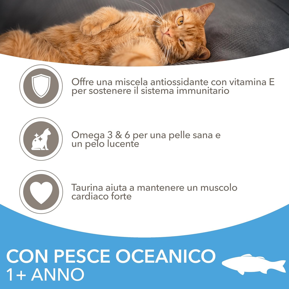 Cibo Secco per Gatti Con Salmone - Cibo Secco per Gatti Da 1-6 Anni, 1 ...