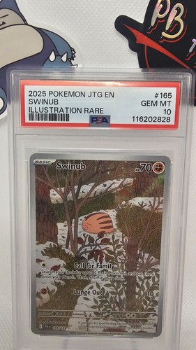 2025 POKEMON JTG EN-JOURNEY TOGETHER ILLUSTRATION RARE #165 SWINUB PSA ...