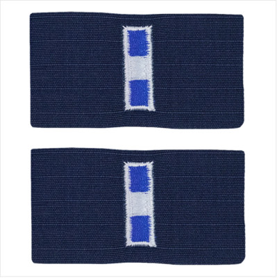 GENUINE U.S. COAST GUARD EMBROIDERED COLLAR DEVICE: WARRANT OFFICER 3 ...