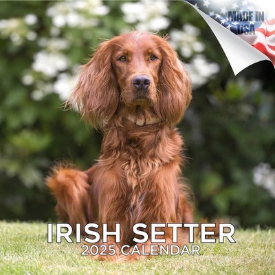 Irish Setter Wall Calendar 2025 Animal DOG PET Lover Gift Made in the ...