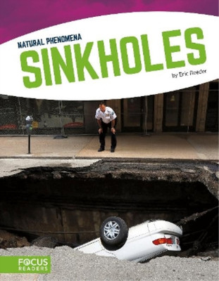 Eric Reeder Natural Phenomena: Sinkholes (Poche) | eBay