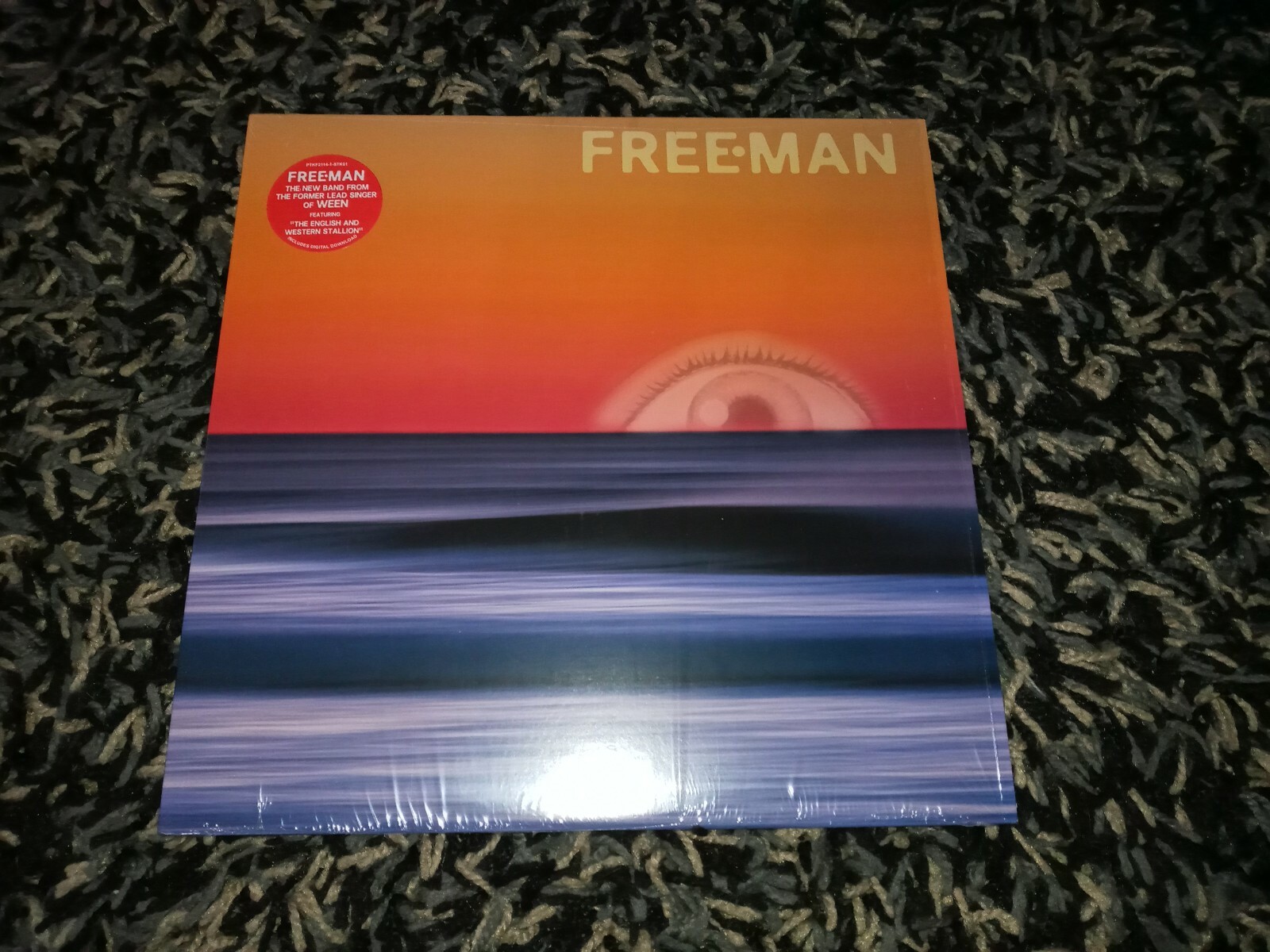 Free-Man Aaron Freeman Ween Self Titled Vinyl LP Original | eBay
