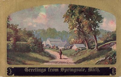 RR Springvale Charlevoix MI c.1907 TRAVEL & TOURISM ERA LUMBER COMPANY ...