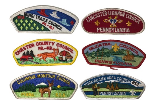 Lot of Pennsylvania Councils 1/2 Dozen BSA CSPs Mint CSP (BHP2070) | eBay