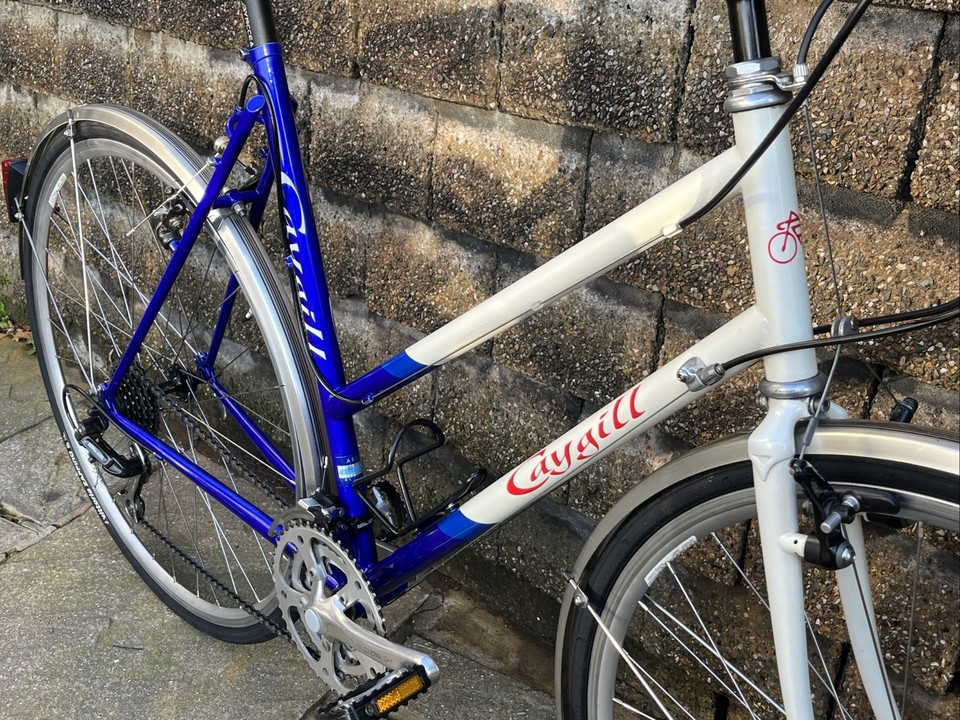 Vintage 1990’s Arthur Caygill H-built CrMo Steel 22” Step-through ...