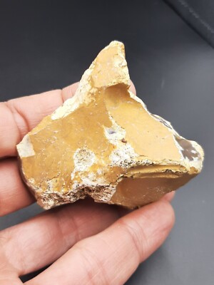 Neolithic & Paleolithic - Neanderthal Borer