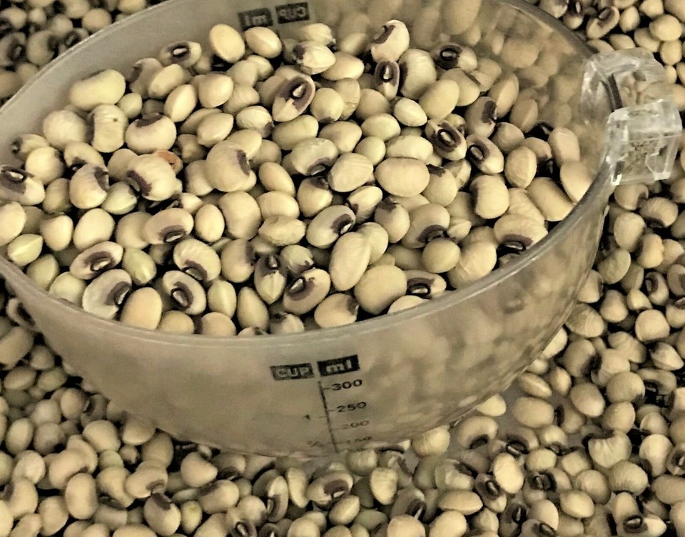 TOP PICK Pinkeye Purple Hull Peas 1000+~8oz Seed Southern Cowpea ...
