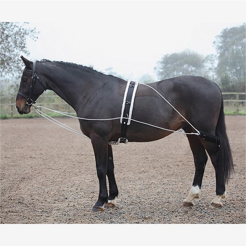 Sistema Pessoa di addestramento alla longia Longier Training System ...