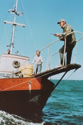 Jaws Robert Shaw with gun on Orca 24x36 Poster | eBay