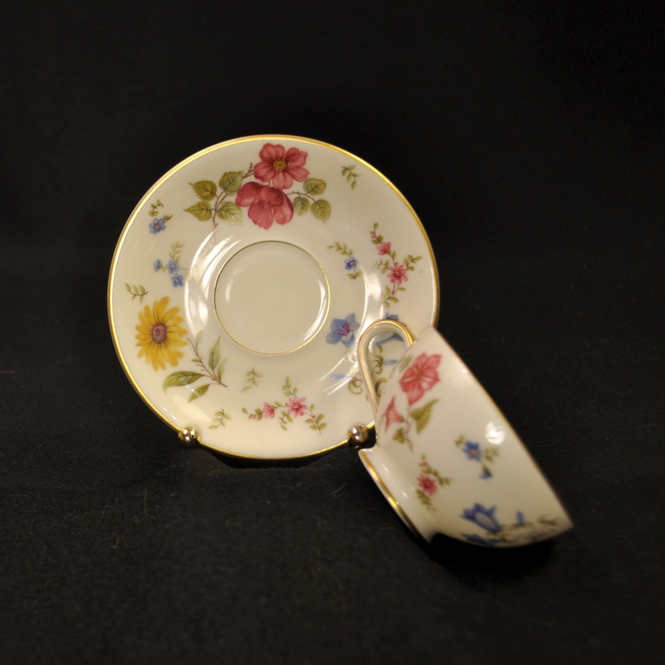 RC Rosenthal Cup & Saucer Demitasse Else Mold 1938-1952 Traudel Floral ...