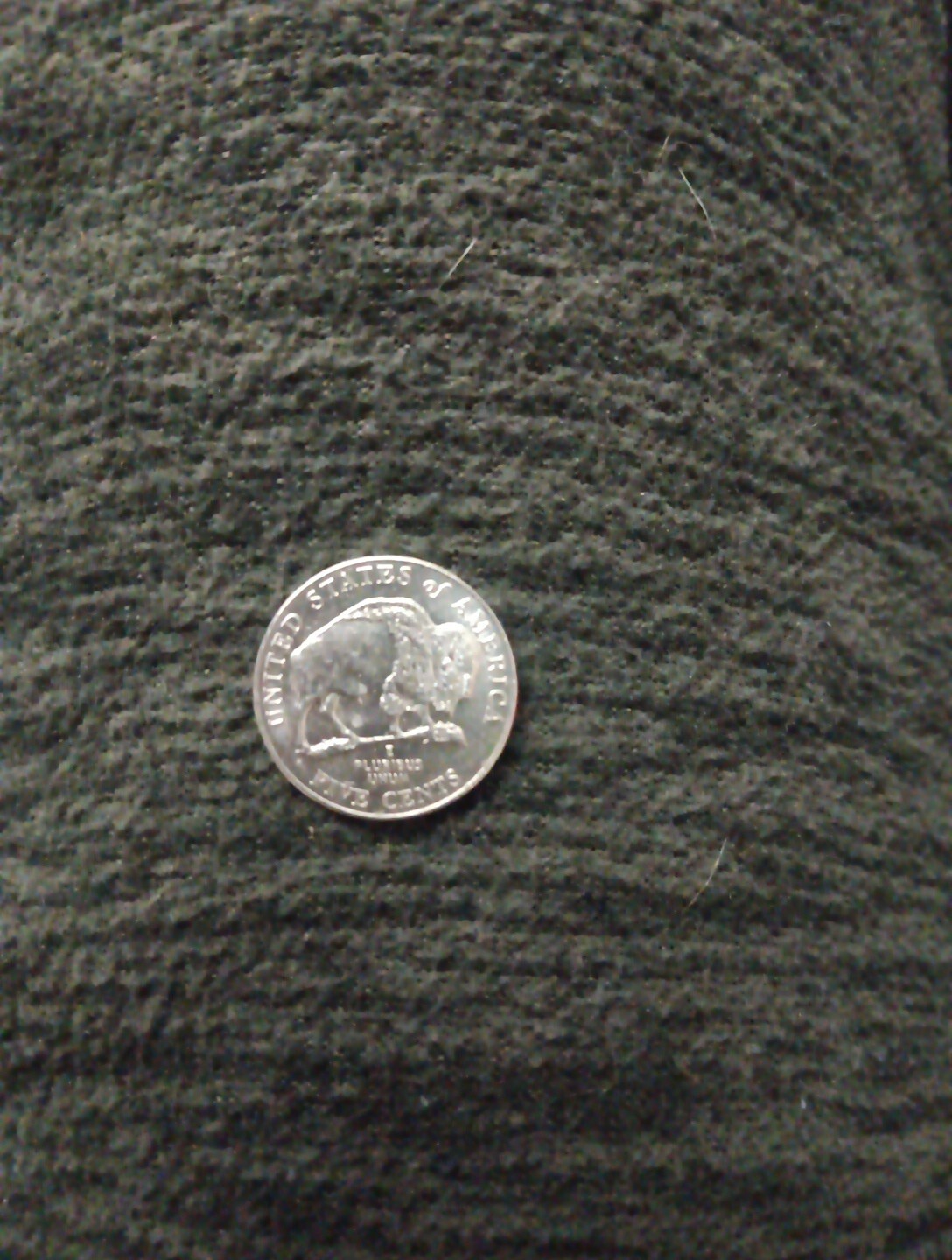 2005-D 5c " SPEARED BISON " Nickel | eBay