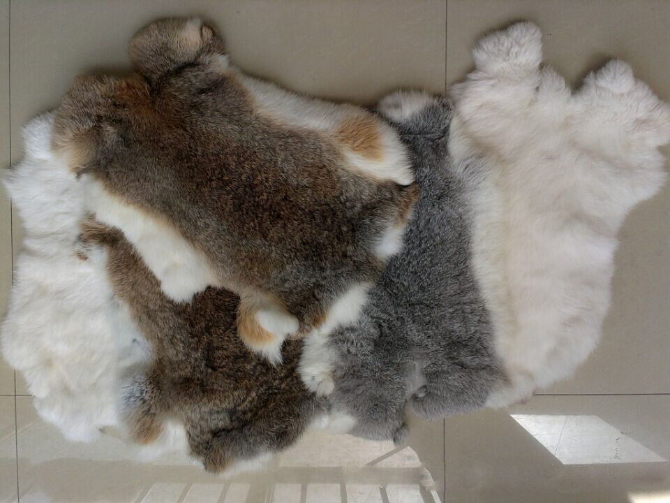 20 Pieces Natural Tanned Real Rabbit Pelts Fur Craft Leather DIY ...