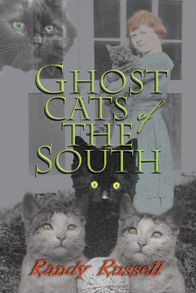 Ghost Cats of the South by Randy Russell (English) Paperback Book | eBay