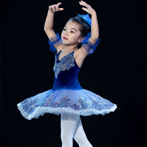 Professional Ballerina Ballet Tutu Adult Pancake Tutu Dance Ballet ...