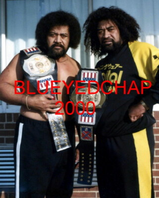 SAMOANS AFA & SIKA WRESTLER 8 X 10 WRESTLING PHOTO WWF NWA | eBay
