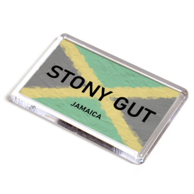 FRIDGE MAGNET - Stony Gut - Jamaica Flag | eBay UK