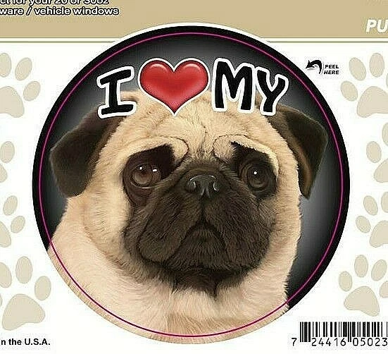 Two Pugs In Love