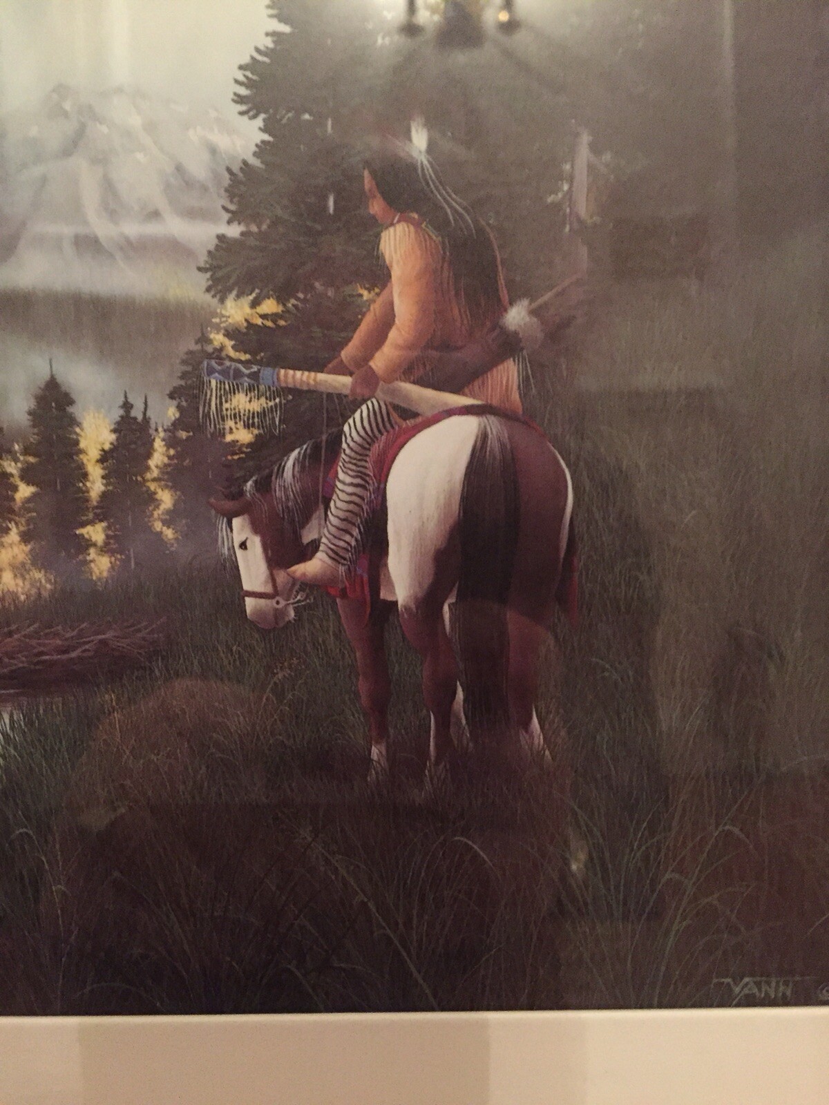 Donald Vann Cherokee Artist Artwork, Rare Sold Out,1992High Country ...