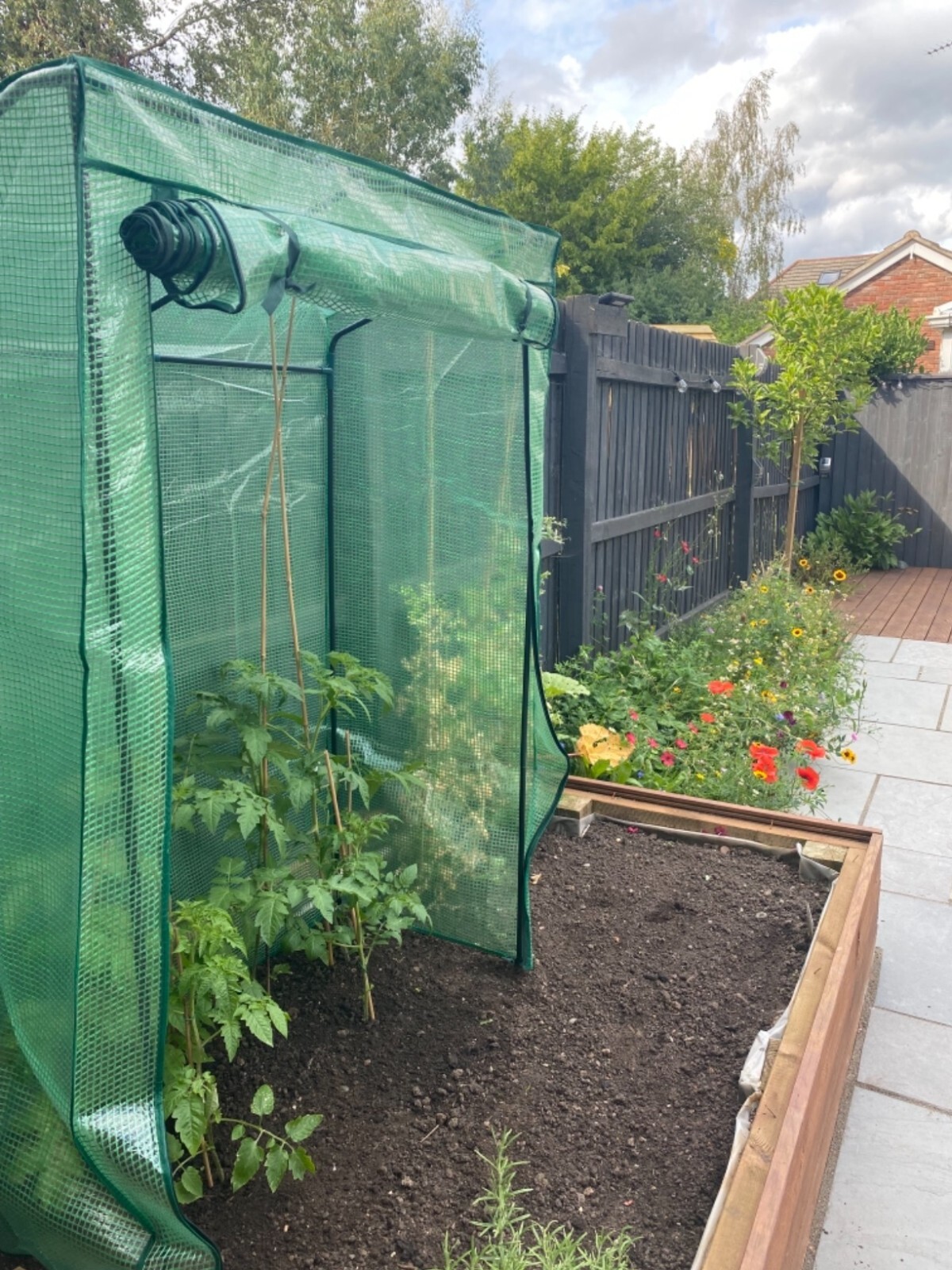 Garden Tomato Plant Growbag Cover Green House Reinforced Slanted ...