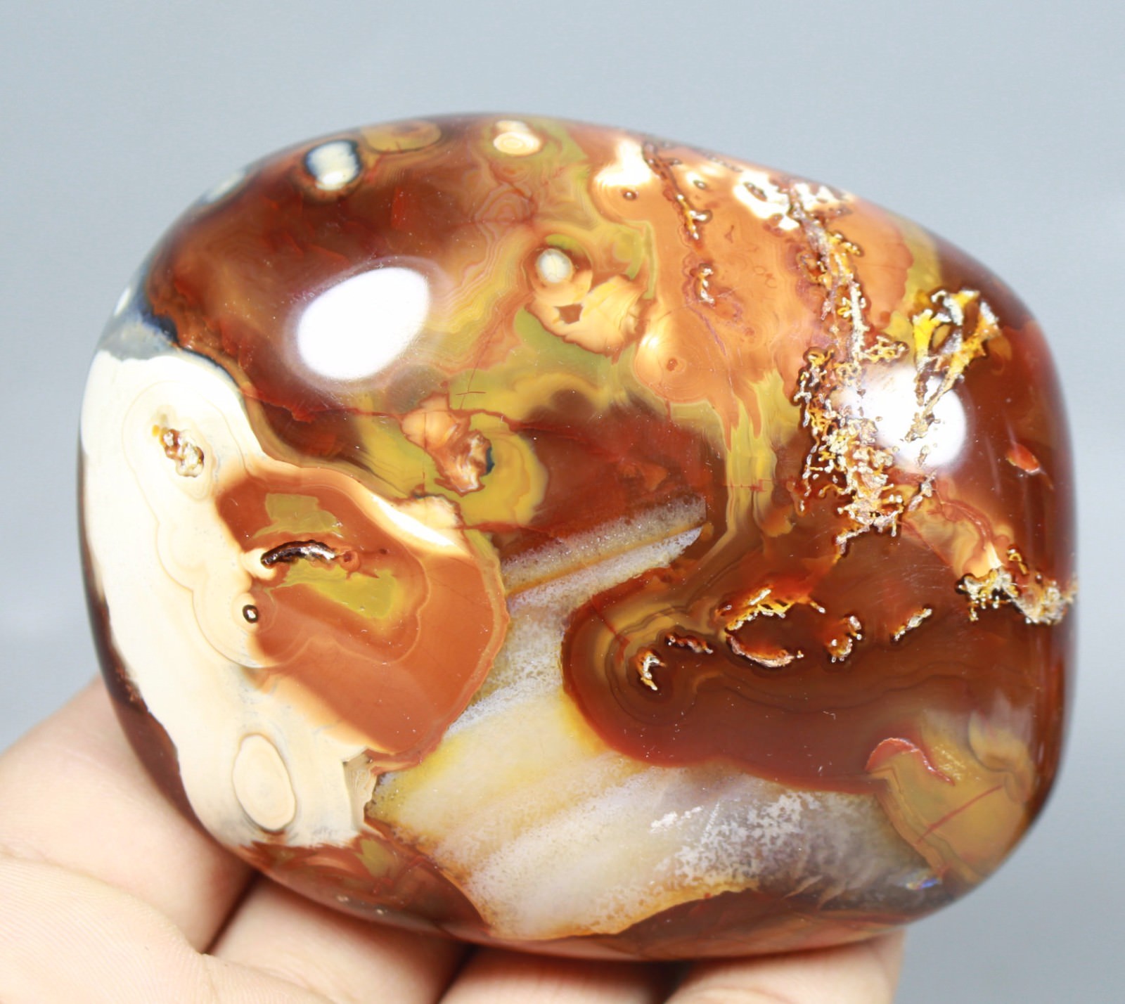 RARE ! ! Natural Red Carnelian Geode Crystal Quartz Agate Gem Specimen ...