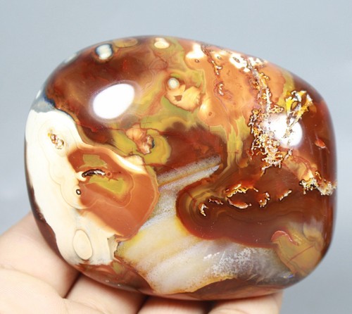 RARE ! ! Natural Red Carnelian Geode Crystal Quartz Agate Gem Specimen ...