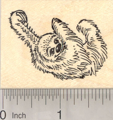 Sloth Rubber Stamp G28206 WM | eBay