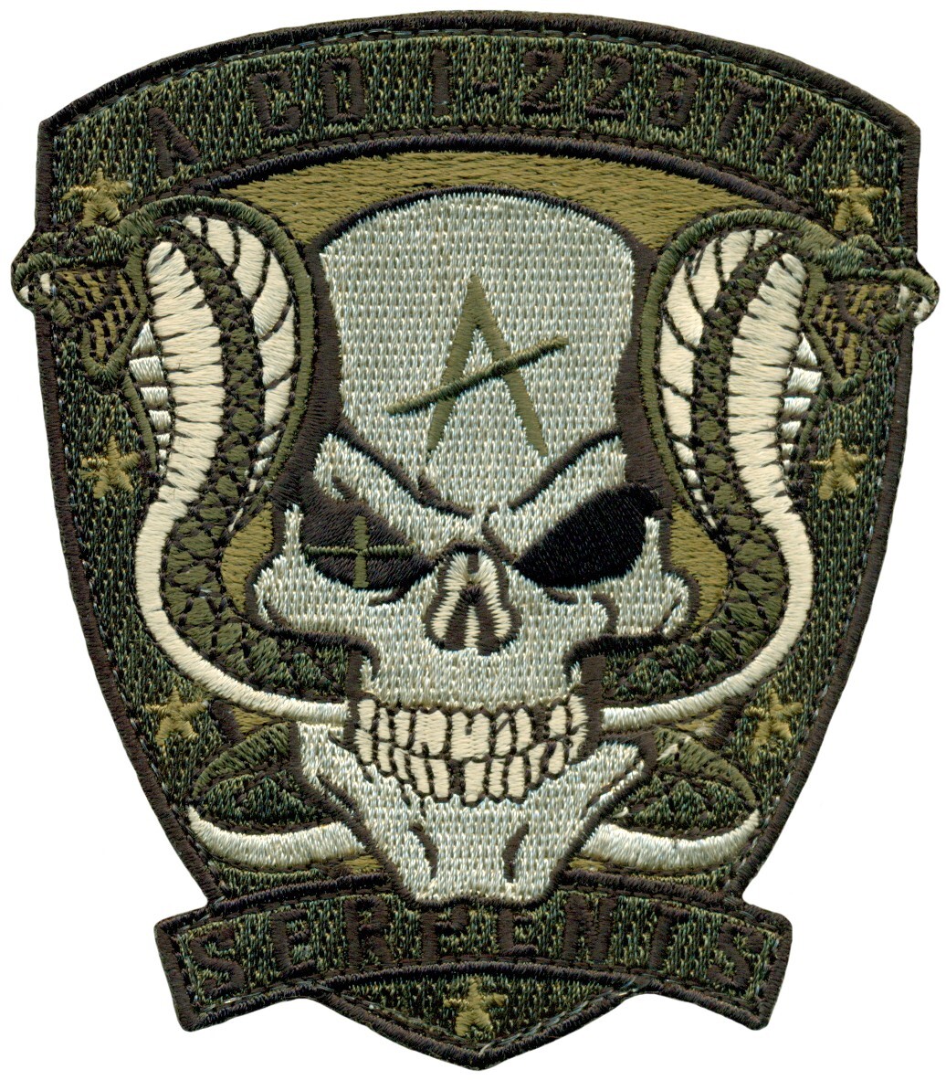 US ARMY A Co. 1 Battalion, 229 Attack Reconnaissance Battalion Serpents ...