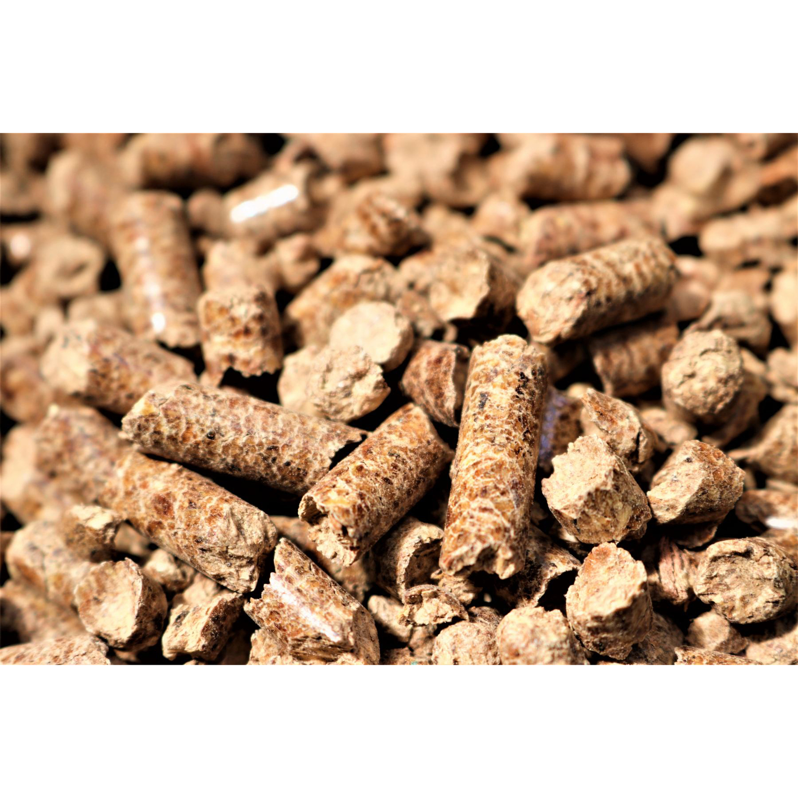 Bear Mountain BBQ 100% Natural Hardwood Pecan Sweet Flavor Pellets, 20 ...