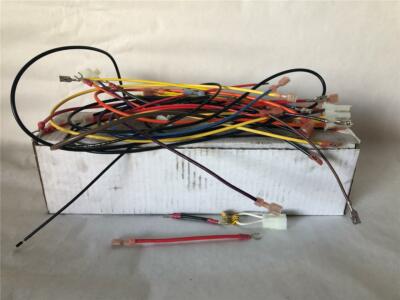 Teledyne Johnstone R2028002 JV Replacement Wiring Harness | eBay
