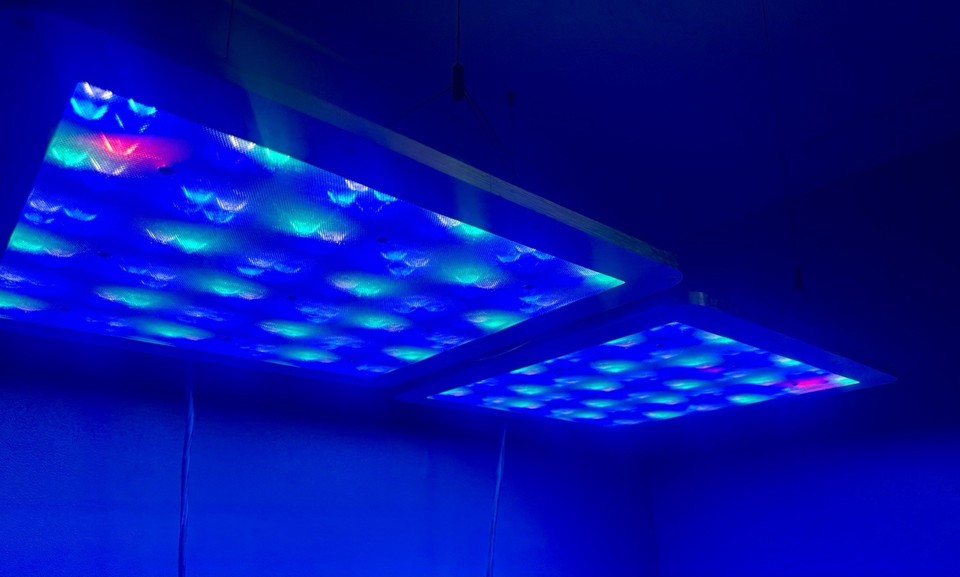 Ati Led Straton Light 1 of 2 Marine Aquarium | eBay UK