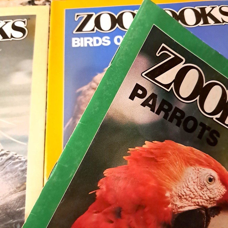 Zoobooks magazine set 13 Baby Animals Parrots Elephants Sea Otters Apes ...