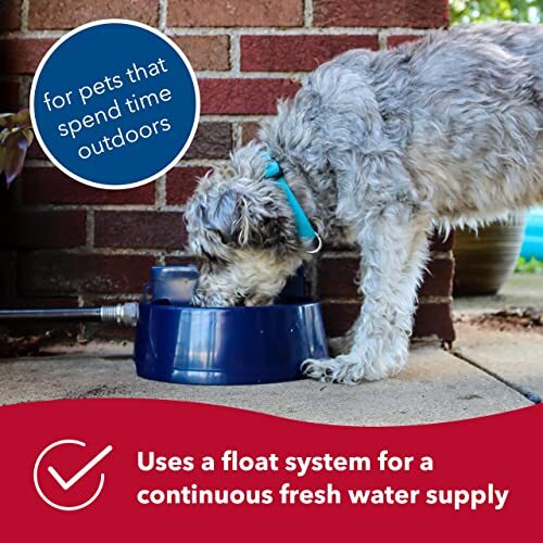 Coastal Pet Bergan Auto-Wata - Outdoor Dog & Cat Water Dispenser ...
