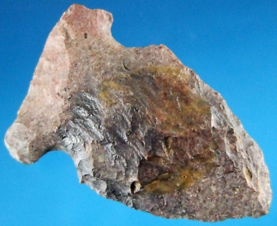 Super Fine Authentic Kentucky Shawnee Springs Big Sandy Point ...