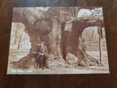 The Major Oak, Woodland Trust Ancient Tree Hunt Promotional Postcard ...