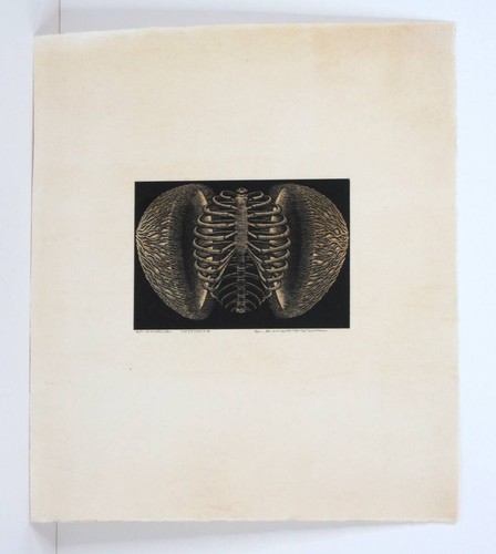 [Authentic work] Buy it now Sai Karasawa Work 1 | eBay UK