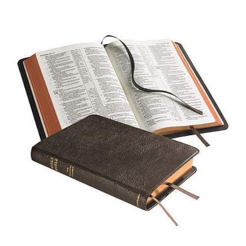 NASB Pitt Minion Reference Bible, Brown Goatskin Leather, Red ...