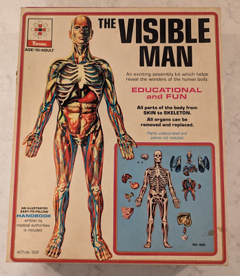Unbuilt 1950s THE VISIBLE MAN Plastic MODEL KIT By RENWAL | eBay