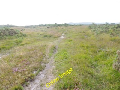 Photo 6x4 Stoborough Heath, Purbeck Way Wareham Long-distance footpath ...