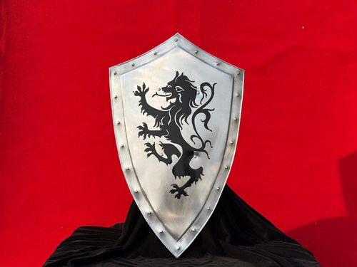Dragon Templar Shield Crusader Knight Heater Shield 18 Gauge Medieval | eBay Australia