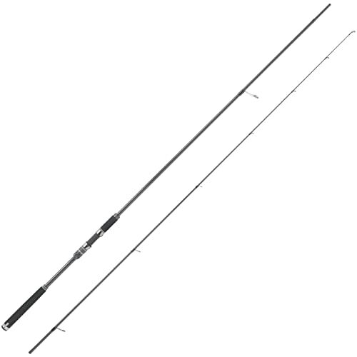 Abu Garcia Spinning Rod SALTY STAGE PT LIGHTSJ XLSS-9112ML30 | eBay