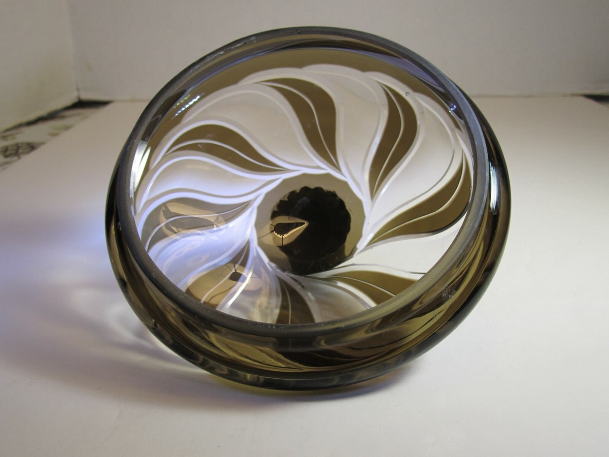 Smoke Colored Glass Window