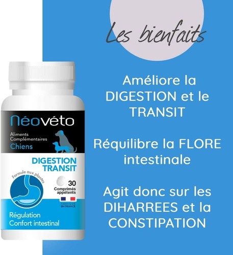 Comprimés transit digestion pour chiens agit sur diarrhée constipation ...
