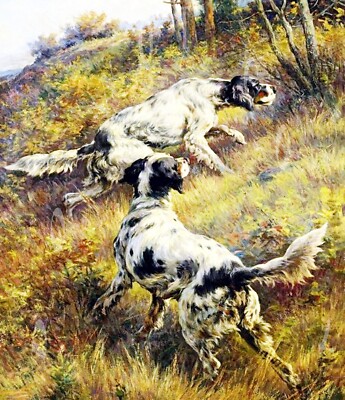 ANTIQUE BIRD HUNTING REPRO OSTHAUS PHOTO PRINT 2 ENGLISH SETTERS ON ...