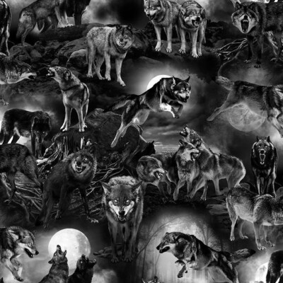 Timeless Treasures Wicked CD2764 Grey Demon Wolves Cotton | eBay