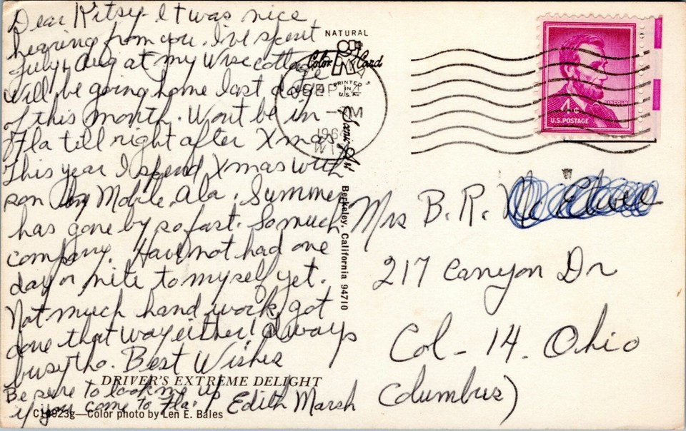 postcard - scenic drive with foliage - Driver's Extreme Delight | eBay