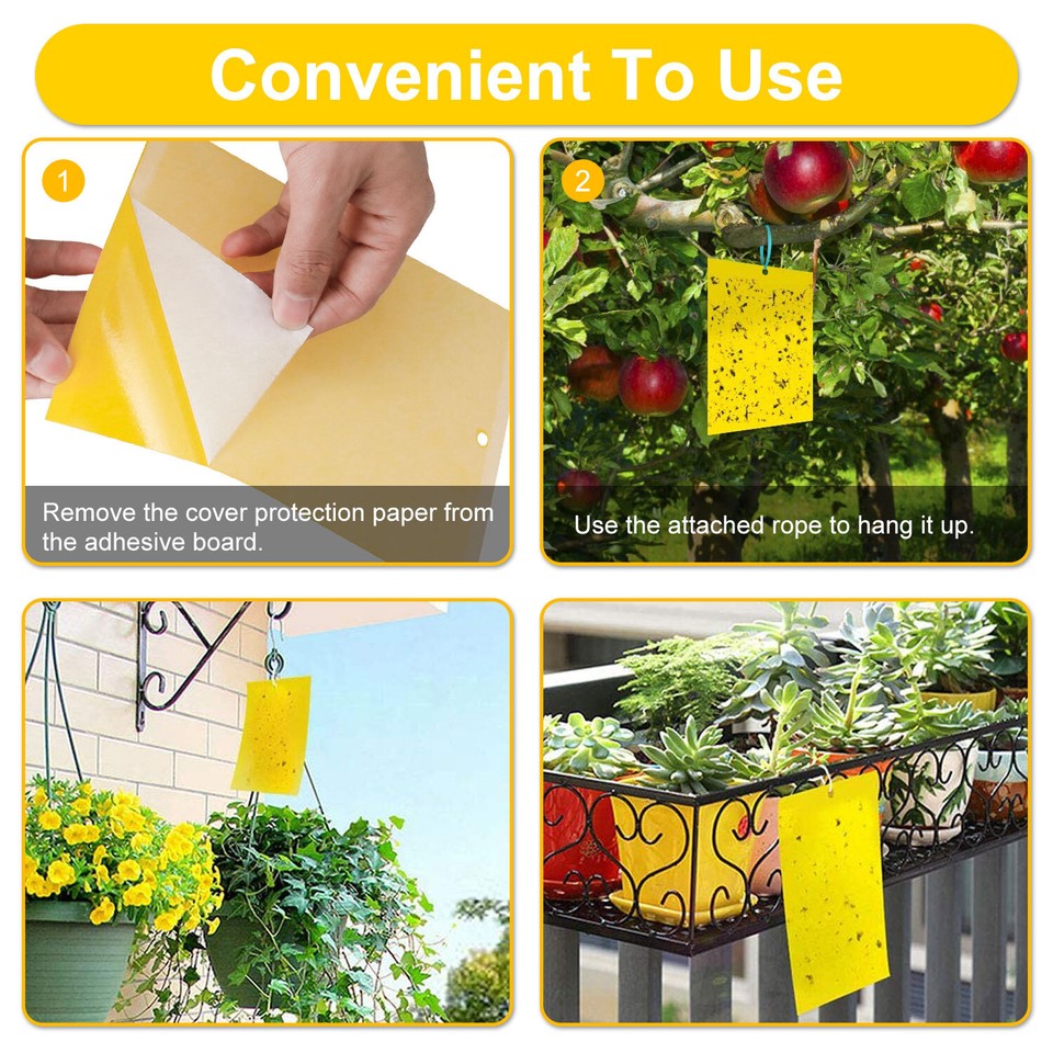 Sticky Fly Glue Trap Yellow Paper Trap Fruit Flies Insect Mosquitoes ...