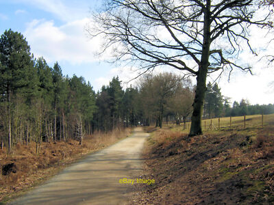 Photo 6x4 Track to the Linmere Visitor Centre Hatchmere This track ...